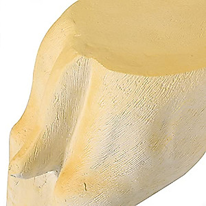 Christopher Knight Home Wendall Outdoor Bench, Light Brown