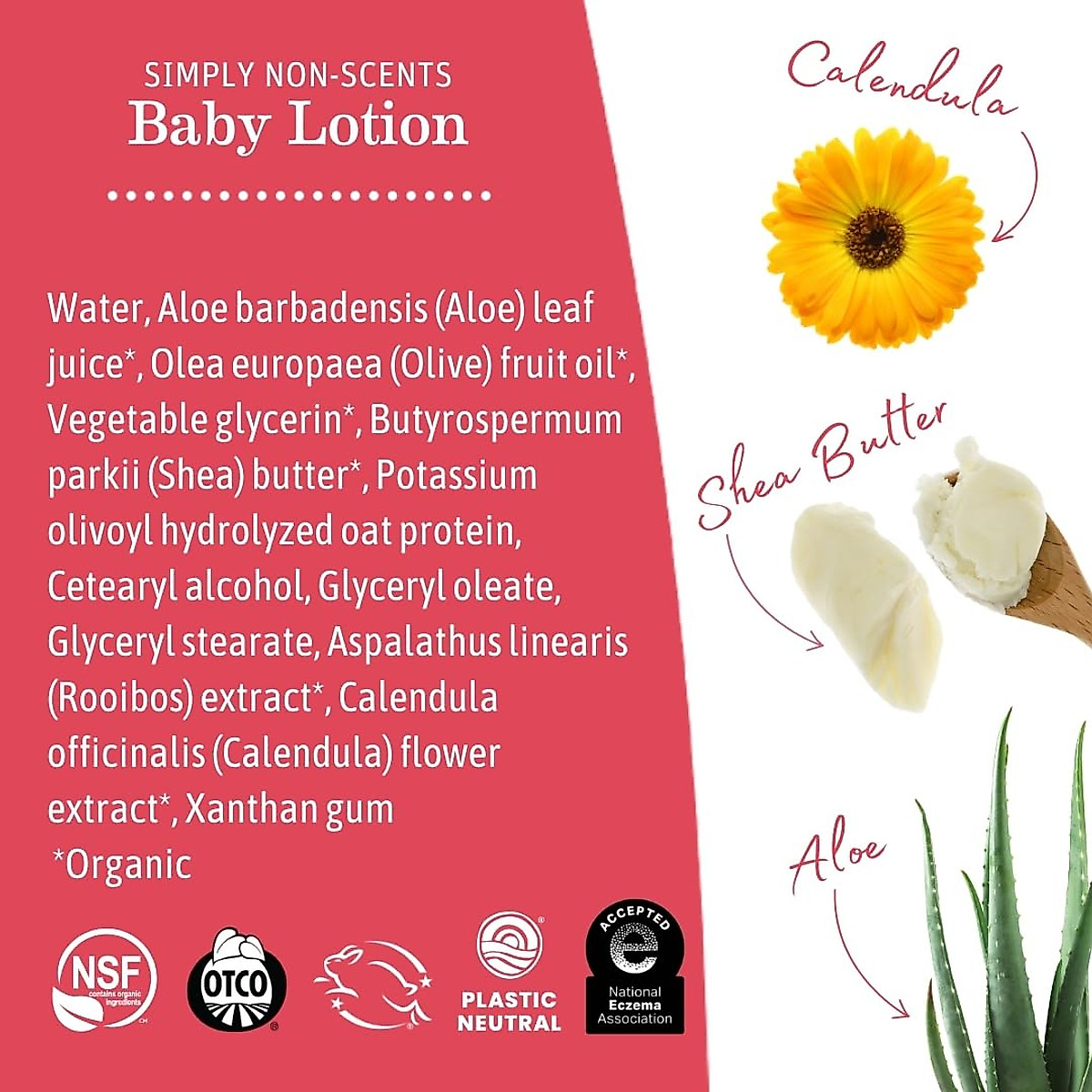 Earth Mama Simply Non-Scents Baby Lotion | Fragrance-free with Organic Calendula + Rooibos for Sensitive Skin, 8-Fluid Ounce