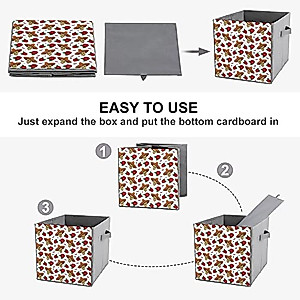 Mexico Candy Skull Rose Collapsible Storage Bins Basics Folding Fabric Storage Cubes Organizer Boxes with Handles