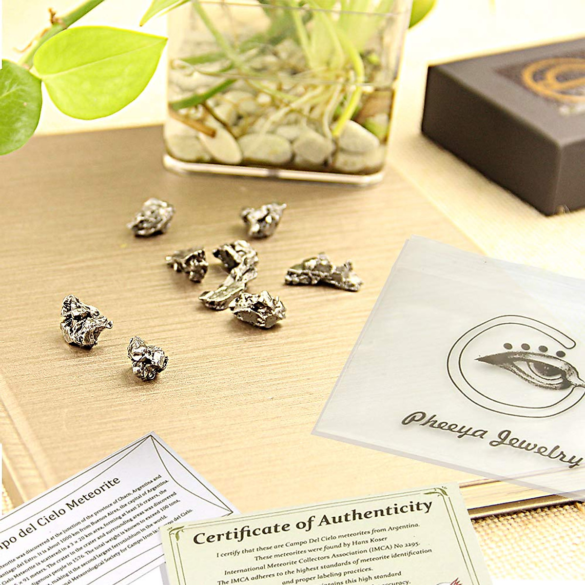 Large Massive Meteorite Specimen, Campo Del Cielo Meteorite with Gift Box, Moon Rock Sample, Astronomy Gifts for Space Fans, Great for Science Classrooms, Rocks, Minerals Collection