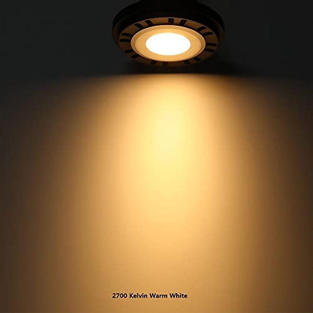 Leelands PAR36 Landscape LED Bulb Outdoor Well Lights Landscape Lighting Garden Lights Yard Illumination Soft Warm White Low Voltage 12V AC/DC Water Resistant Rating IP67 10Watt