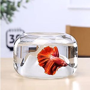Glass Fishbowl Small Snow Mountain Goldfish Aquarium 5.9" Mini Fish Tank,Cool Design