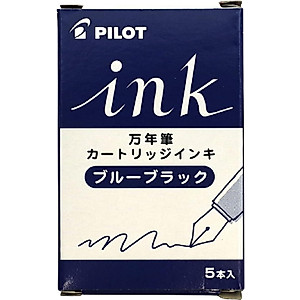 Kakuno Fountain Pen Extra Fine Print Clear Body Ink FKA1SRNCEF with 5 Blue Black Refill and Kanji Love Sticker
