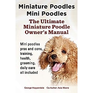Miniature Poodles Mini Poodles. Miniature Poodles Pros and Cons, Training, Health, Grooming, Daily Care All Included.