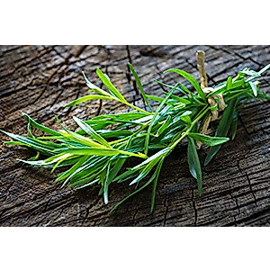 Gaea's Blessing Seeds - Tarragon Seeds - Heirloom Non-GMO Seeds with Easy to Follow Instructions - Open-Pollinated Herb Seeds Germination Rate 91%