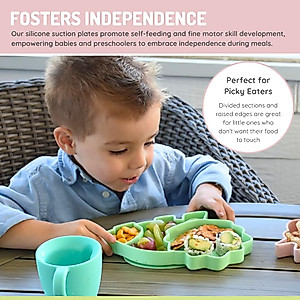 melii Divided Silicone Suction Plate - 100% Silicone, for Baby + Toddlers – BPA Free, Dishwasher & Microwave Safe (Dinosaur)