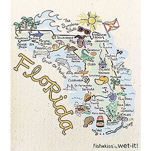 Wet-It! Swedish Dishcloth States (Florida)
