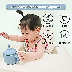 Santi & Me 2-1 Silicone Straw Cup for Baby, Spill-proof Sippy Cup for Babies 6-12-18 Month, Open Training Water Cups with Easy-Hold Handle, Baby Led Weaning Cups - BPA Free - 8.8oz (Dusty blue)