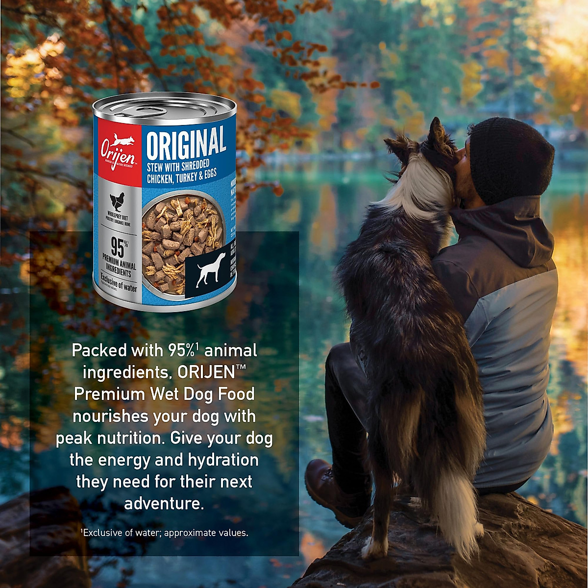 ORIJEN Original Stew Recipe with Chicken, Turkey & Eggs Wet Dog Food, WholePrey Ingredients, 12.8oz (Case of 12)
