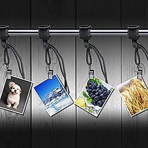 Emart Background Backdrop Muslin Multifunctional Clips Clamp Holder for Photo Video Studio - 14 Pack