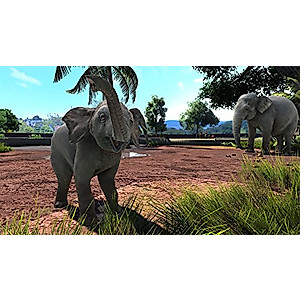 Zoo Tycoon Definitive Edition - XBONE