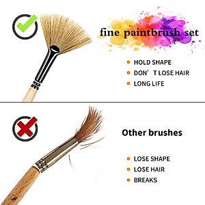 Artist Fan Paint Brush Set of 6, Hog Bristle Natural Hair Anti-Shedding Brush Tips, Long Wooden Handle for Comfortable Holding, Great for Acrylic Watercolor Oil Painting