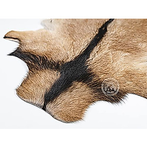 Sunshine Cowhides Genuine Goatskin Rug Goat Skin Goat Hide Goat Skin Rug Exotic 2 x 3 ft.