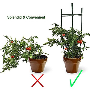 IPSXP Vegetable Trellis, Garden Plant Support Stakes for Climbing Plants, Vegetables, Flowers, Fruits, Vine, 3 Garden Trellis with 40 Adjustable Cable Tie