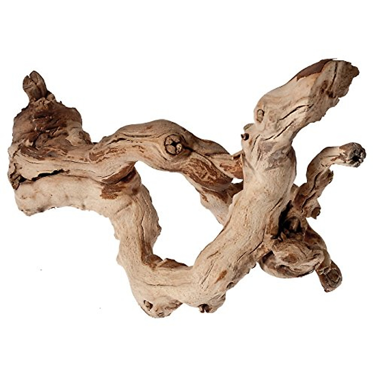 Pisces 12" Grapewood Sandblasted Branchy, Varies