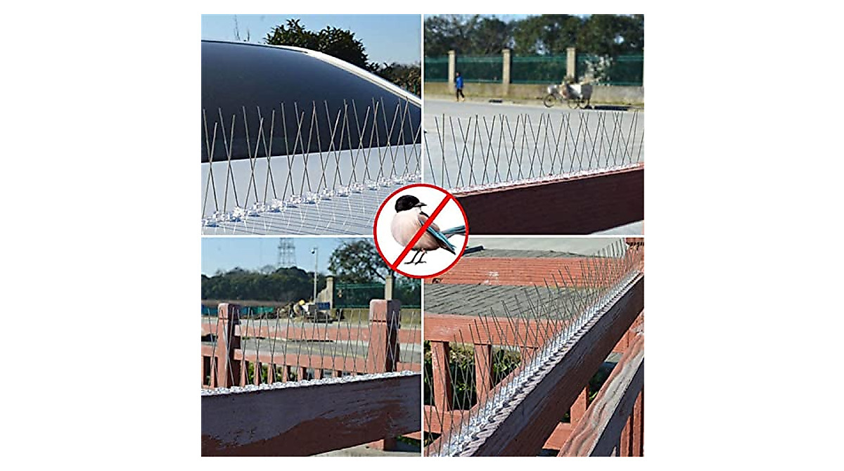Bird Spikes for Pigeons and Small Birds - Flexible Stainless Steel Barrier