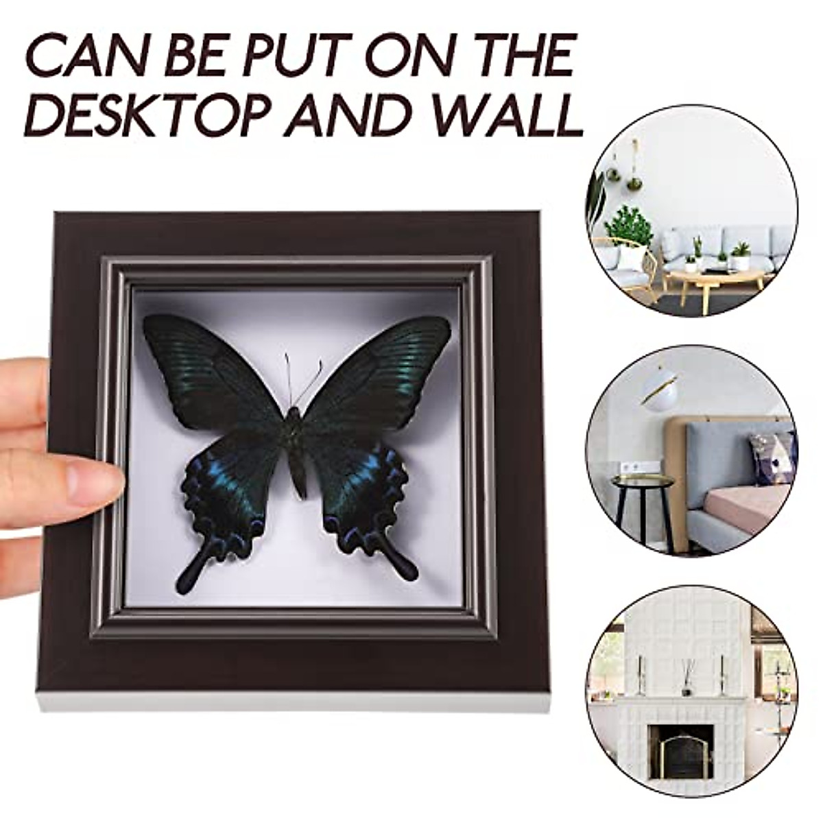 Housoutil Butterfly Specimens in Shadow Box Blue Morpho Butterfly Framed and Mounted in Black Display for Wall Shelf or Table Display