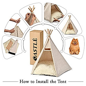 OASTLÉ Dog & Cat Teepee, Small to Medium Pet Teepee Bed with Thick Plush Pad, 27 Inch Tall, Cat Teepee and Dog Tent Bed for Pets Up to 20lbs