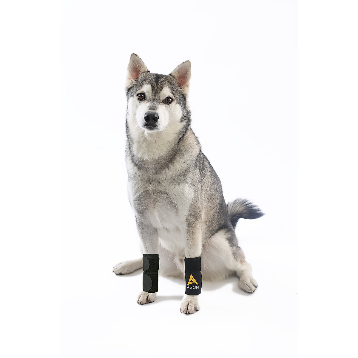 AGON® Pair Dog Canine Front Leg Brace Paw Compression Wraps with Protects Wounds Brace Heals and Prevents Injuries and Sprains Helps with Loss of Stability Caused by Arthritis (Large/X-Large)