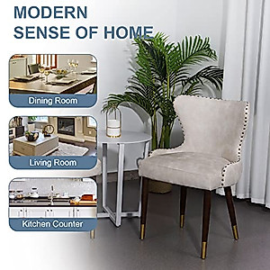 ROIYEIER Modern Dining Chairs Set of 2, Waterproof Wear Resistant Upholstered Dining Chairs with Armrest Soild Legs for Dining Room Living Room, Beige