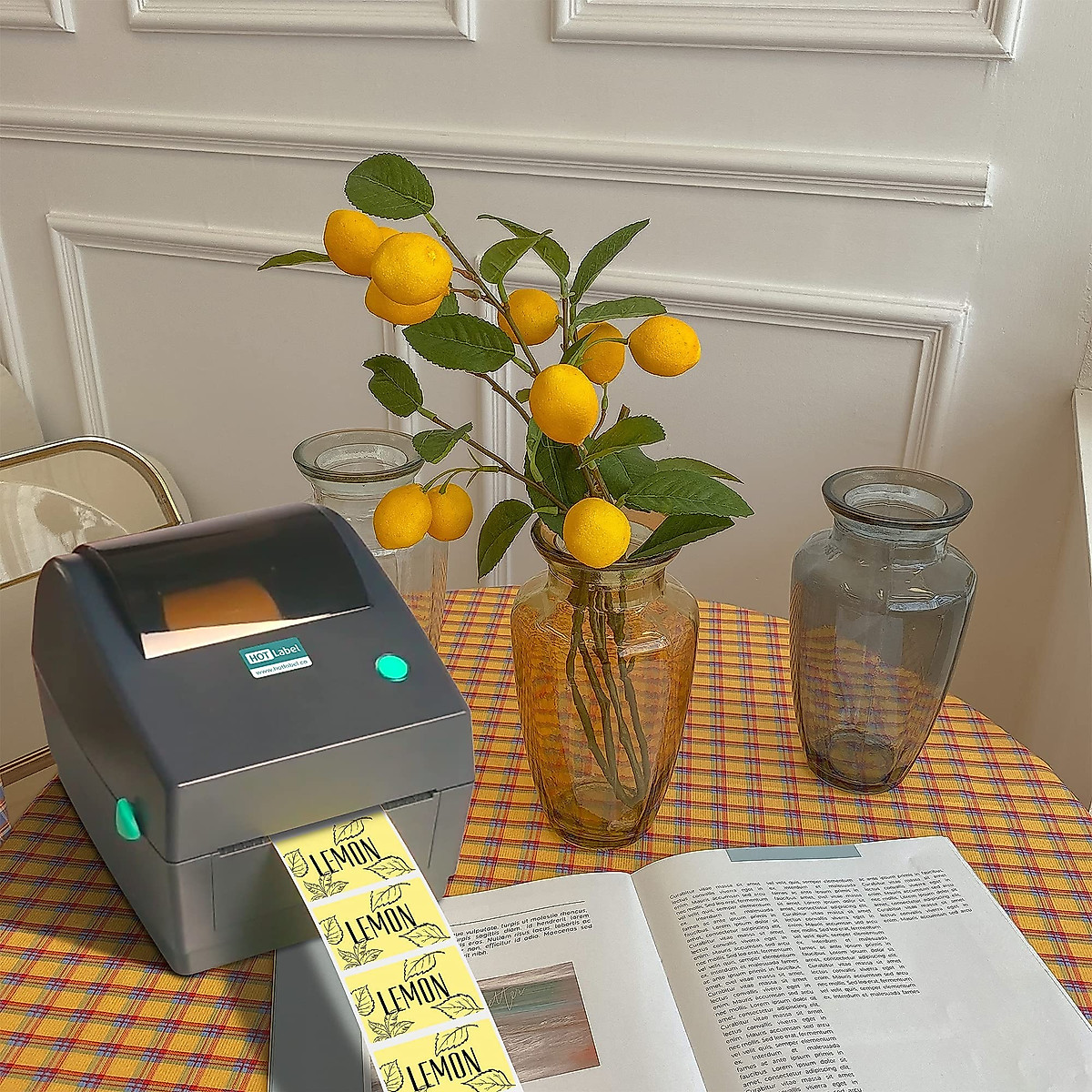 HotLabel Shipping Label Printer - Direct Thermal Label Printer 4x6 for Logistics Packaging Postage Home Small Business Sticker Printer Machine Compatible with UPS USPS Amazon FedEx - Windows Mac