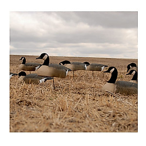 Greenhead Gear Canada Goose Shells