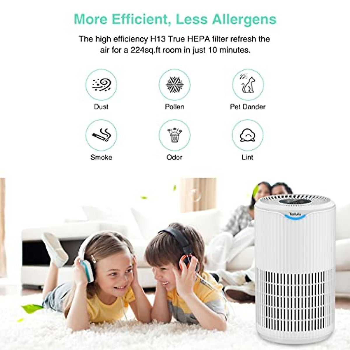 Tailulu Air Purifier Replacement Filter for D09 Air Cleaner, 3-in-1 True H13 HEPA Filter, High-Efficiency Activated Filter, 1 Pack