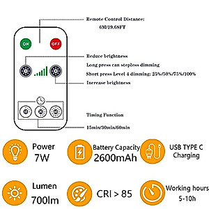 USB C Rechargeable Light Bulb with Remote Control, 7W Battery Powered Light Bulbs E26 Touch Control Dimmable LED Bulb with Timing Function, Outdoor Camping Emergency Light Bulb with Hook,6500K/1 Pack