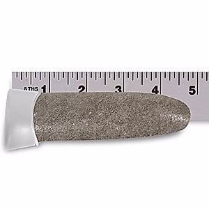 Jobe’s, 01010, Fertilizer Spikes, Palm Tree, Includes 5 Spikes, 1lb, Brown