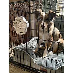 Rescue Retriever- Smoke Detector for pet Rescue in a Smoke or fire Emergency.