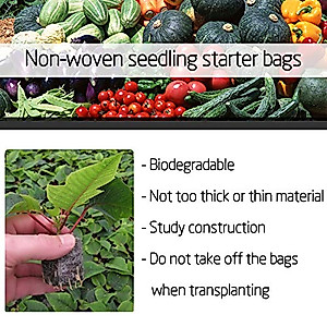 Cosweet 500 Pcs Biodegradable Seedling Plant Grow Bags, Non-Woven Plant Nursery Bags with Assorted Sizes for Soil Transplant Pouches Home Garden Agricultural Production Supply
