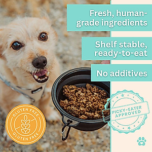 TOP SHELF DOG Chicken Dinner Meal I All Natural Fresh Human Grade Pre Made Dog Food Topper I Mixer, Treat, Additive for Nutrition for Picky Eaters, Puppies, Senior Dogs, Gluten Free (7 x 8oz Pouches)