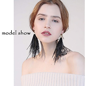 Black Feather Women Earrings Bohemian Long Drop Black Light Wedding Accessories (Black, silver-plated-base)