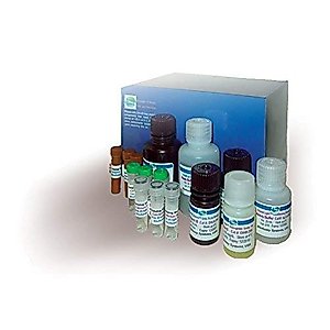 QuantiFluo™ Urokinase Assay Kit