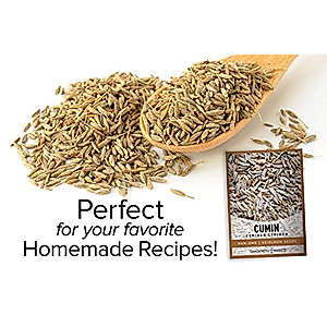 Cumin Seeds for Planting is A Heirloom, Non-GMO Herb Variety- Cuminum Cyminum Herb Seeds Great for Indoor and Outdoor Gardening by Gardeners Basics