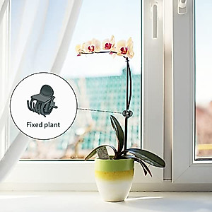 KINGLAKE Orchid Clips,Plant Support Clips,Garden Flower Vine Clips,100 Pcs Garden Cymbidium Clips to Keep Stems Vines Grow Upright,Dark Green