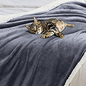 BEAUTEX Sherpa Fleece Throw Blankets, Soft Fluffy Flannel Plush Blanket and Throw, Fuzzy Cozy Grey Cuddle Blankets for Couch Bed Sofa Adults (50" x 60", Grey)