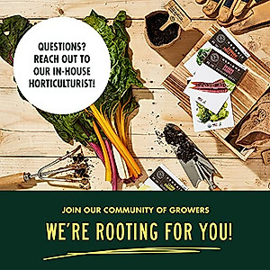 Indoor Vegetable Garden Starter Kit with Exotic Vegetable Seeds- 4 Non-GMO Heirloom Seeds for Planting, Soil, Pots, Plant Markers, Trimmers, Wood Planter Box, DIY Veggie Growing Kit, Gardening Gifts