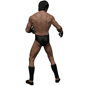 ZFFKY 7.48 Inch Fighting Version PVC Action Figure Collection Model Toys