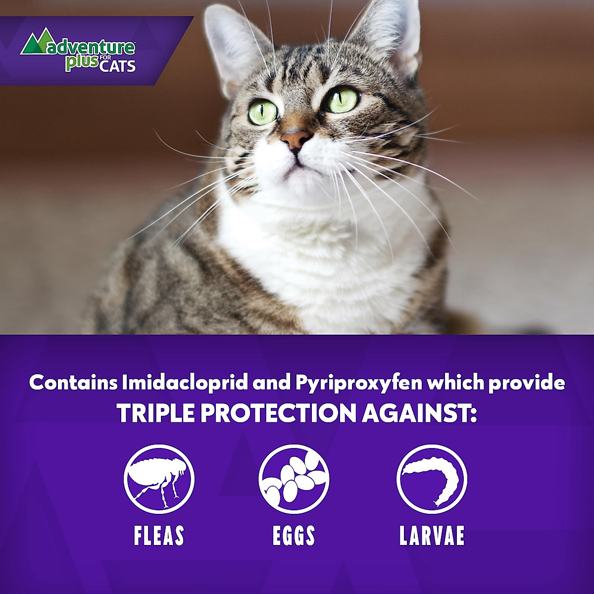 Adventure Plus Triple Flea Protection for Cats – Spot on Flea & Tick Prevention for Cats 9lbs & over – 4 Doses