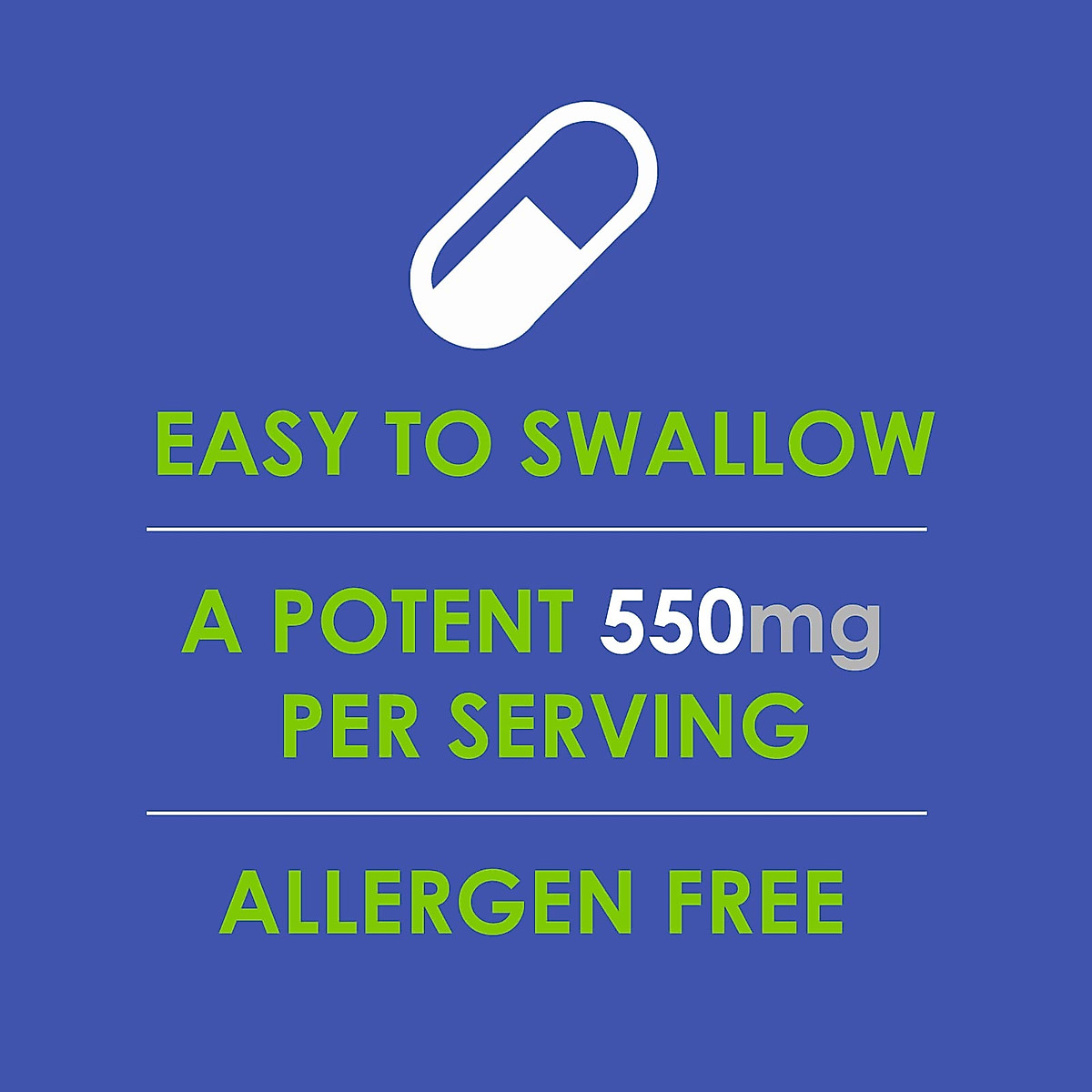 VH Nutrition Ginkgo BILOBA | 550mg Standardized Extract Supplements | Cognitive and Memory Support* | Boost Mental Clarity and Focus | Brain Health Supplement | 60 Capsules