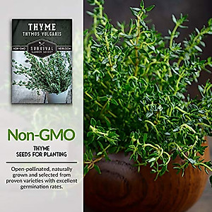Survival Garden Seeds - Thyme Seed for Planting - Packet with Instructions to Plant and Grow Thymus Vulgaris Herb Plants in Your Home Vegetable Garden - Non-GMO Heirloom Variety