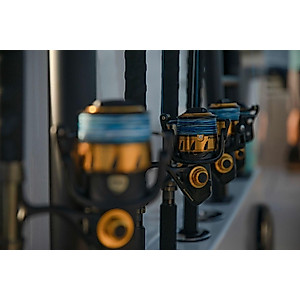 PENN Spinfisher VI Live Liner Spinning Inshore Fishing Reel, HT-100 Front Drag, Max of 15lb | 6.8kg, Built with Carbon Fiber Washers, 2500, Black Gold