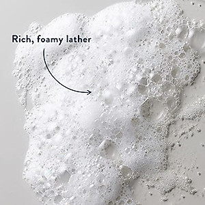 Harry's Men's Body Wash Shower Gel - Wildlands, 16 Fl Oz (Pack of 3)