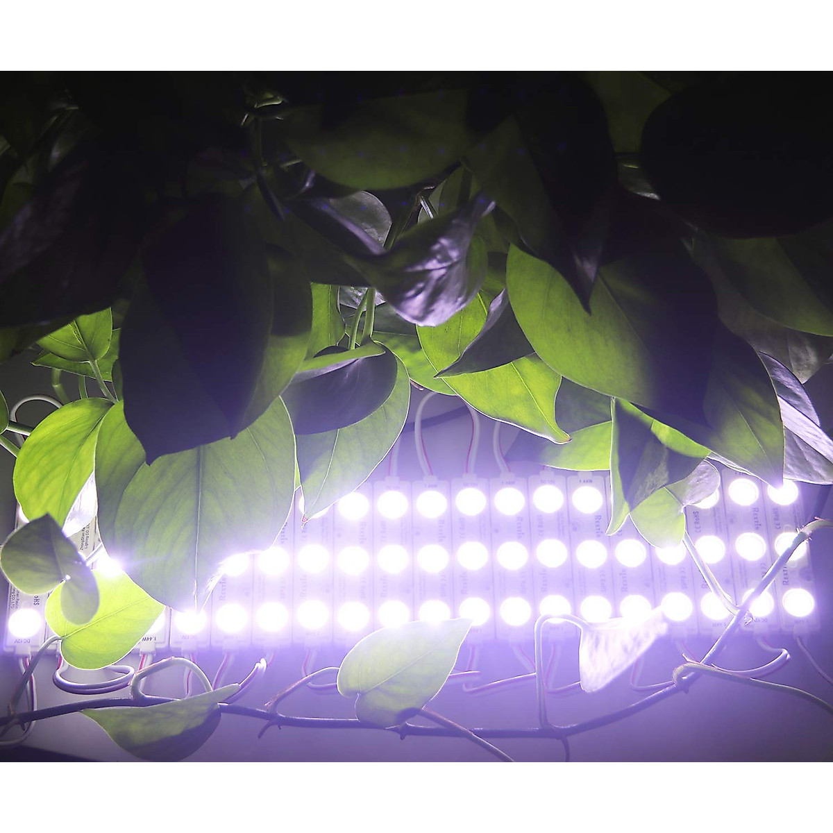 Rextin Super Bright 200pcs 3 LED Module White 5630 5730 SMD 40-45LM Per led Waterproof Decorative Light for Letter Sign Advertising Signs with Tape Adhesive Backside