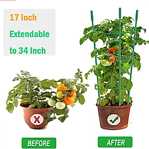 Plant Support Cages, Plant Support Stake, Metal Ring Garden Plant Stake, Gardening Plant Trellie, Green Plant Support Ring, Plant Cage, Plant Support for Tomato, Rose, Vine