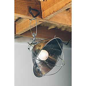 Woods Clamp Lamp with 10 Inch Reflector and Bulb Guard (300 Watt Bulb, 6 Foot Cord)