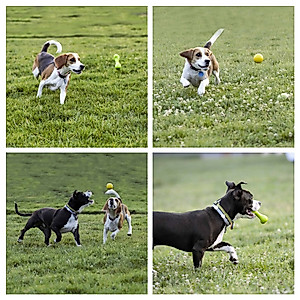 Youngever 8 Durable Dog Chew Toys, Puppy Toys, Dog Rope Toys Value Pack, Puppy Teething Toys for Small and Medium Dogs