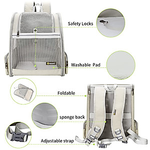 Texsens Pet Backpack Carrier for Small Cats Dogs | Ventilated Design, Safety Straps, Buckle Support, Collapsible | Designed for Travel, Hiking & Outdoor Use (Creamy White)
