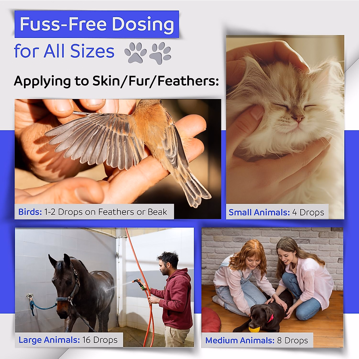 Pet Essences - Vomiting Formula for Dogs, Cats & Horses, 1oz - Natural Flower Essences for Chronic Cat Vomit Due to Fear and Trauma - Easy to Use and Safe for All Ages & Breeds